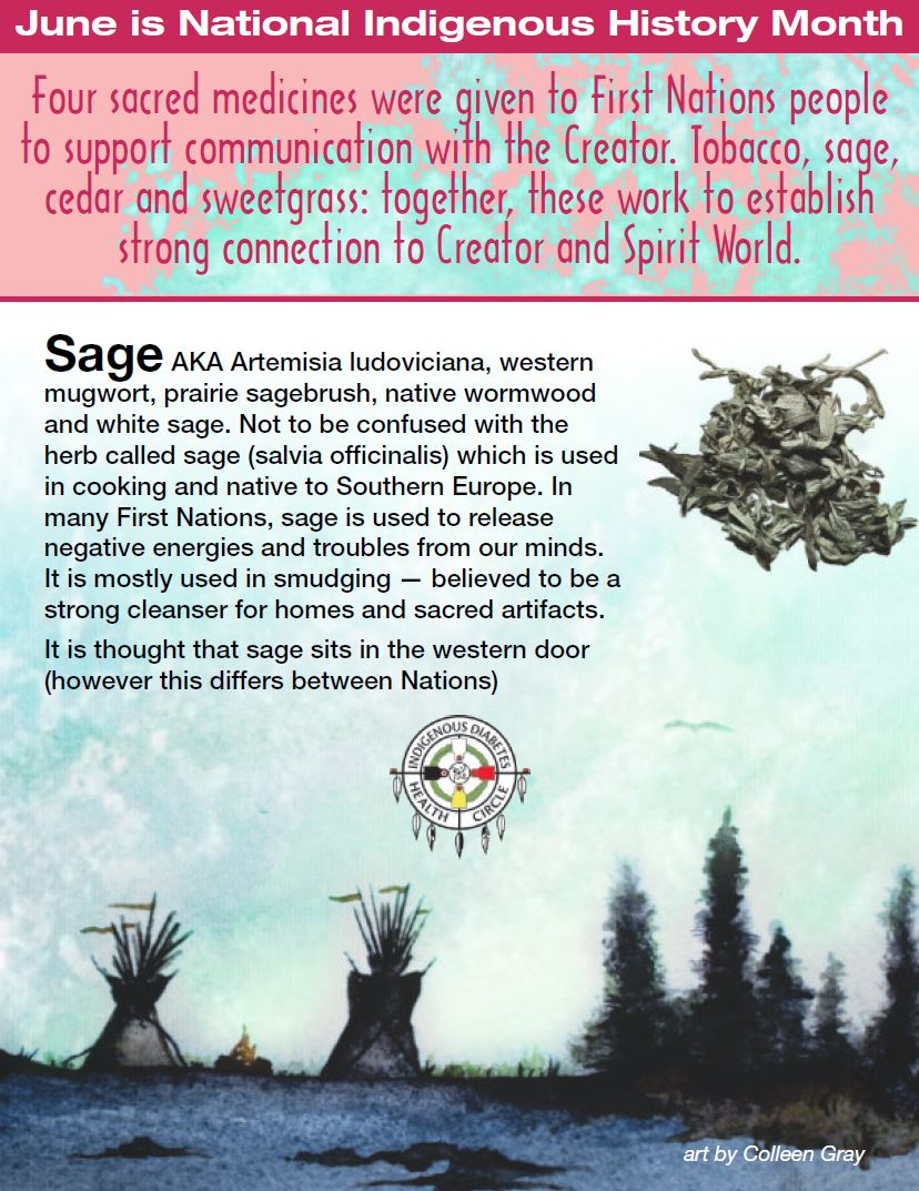 June is National Indigenous History Month – IDHC