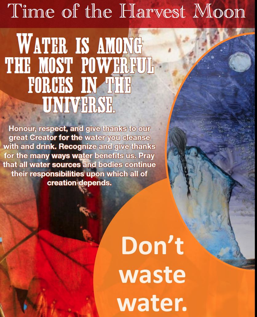 Water Is Among The Most Powerful Forces In The Universe – IDHC