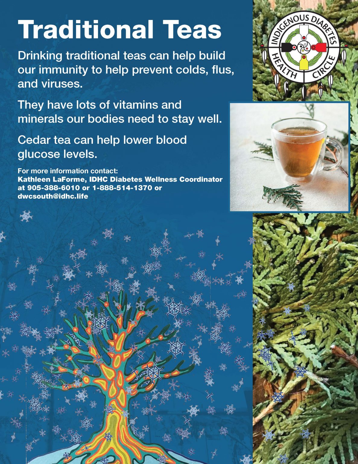 Traditional Teas – IDHC
