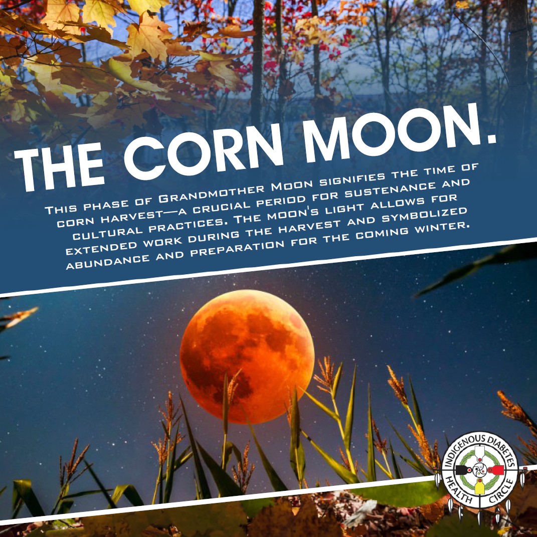 THE CORN MOON. – IDHC